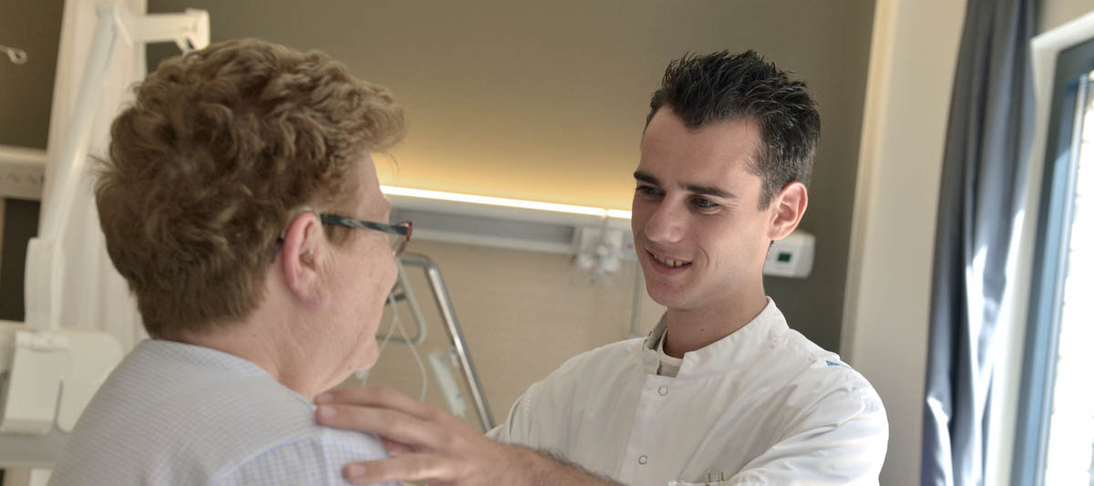 PalliArts - Palliaweb